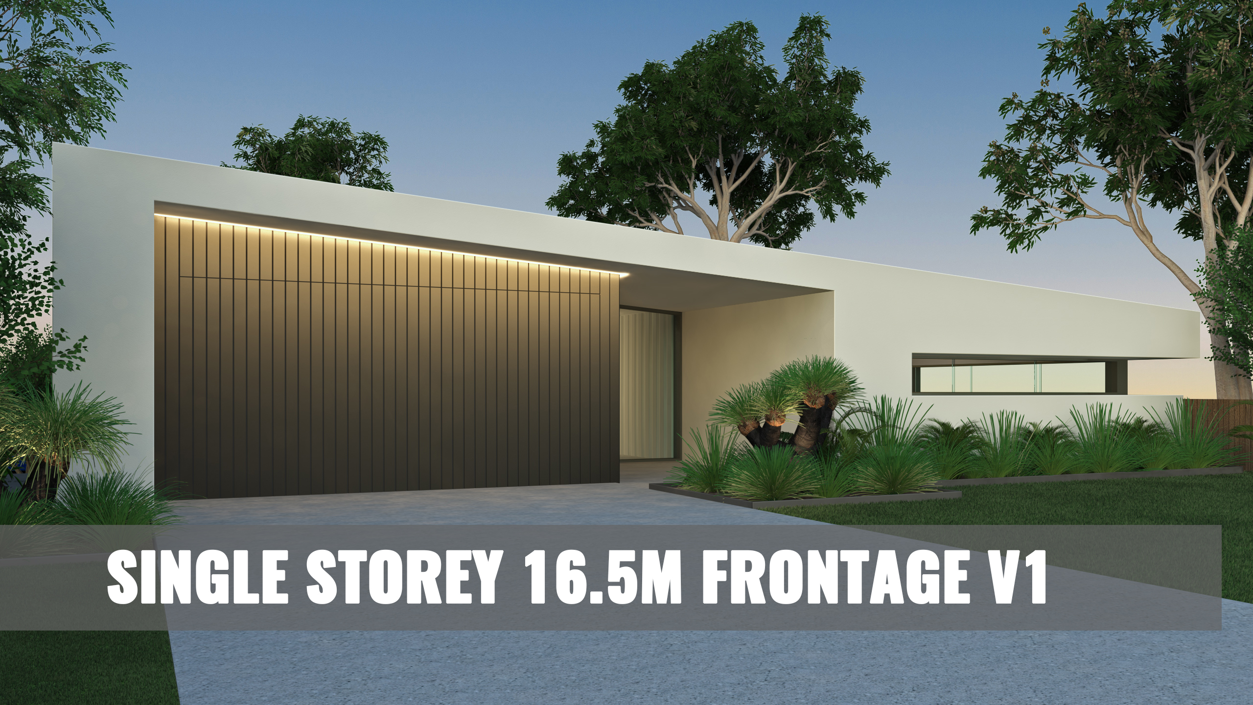 Single Storey 16.5m Frontage V1 - Zauss House